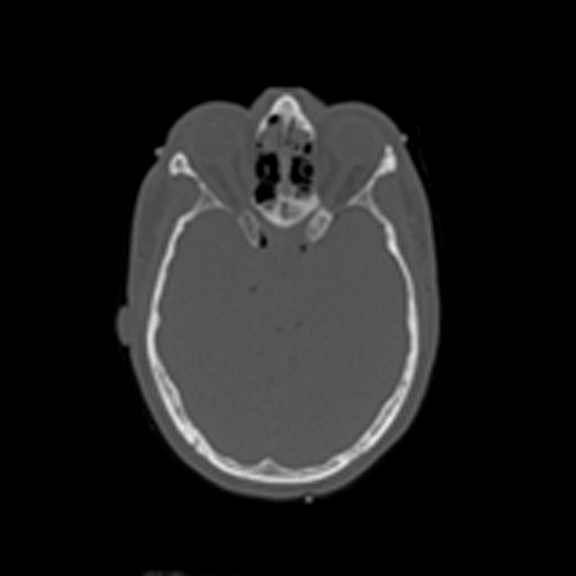 Department of Anatomy and Cellular Biology Cross Sectional Anatomy Home ...