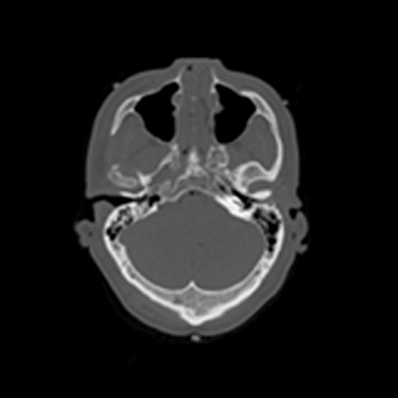 Department of Anatomy and Cellular Biology Cross Sectional Anatomy Home ...
