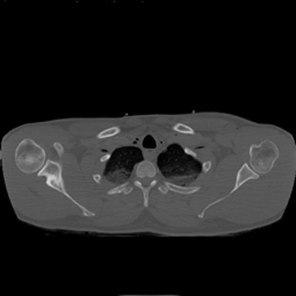 Department of Anatomy and Cellular Biology Cross Sectional Anatomy Home ...
