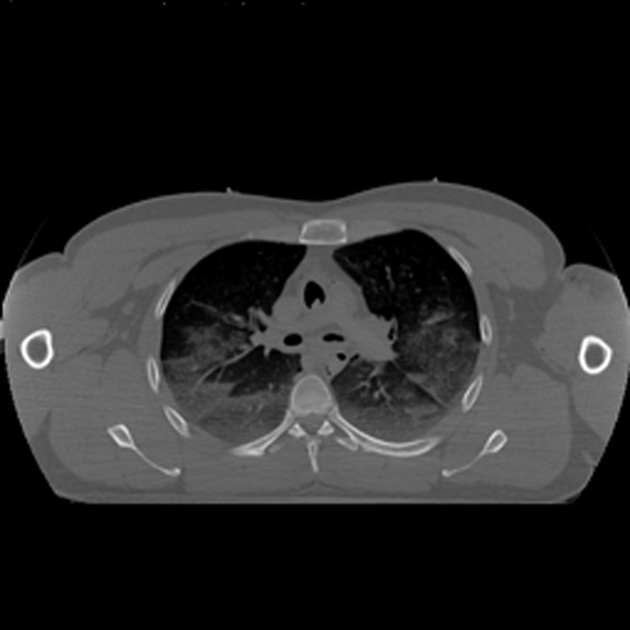 Department of Anatomy and Cellular Biology Cross Sectional Anatomy Home ...