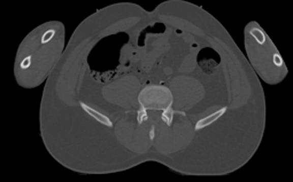 Department of Anatomy and Cellular Biology Cross Sectional Anatomy Home ...