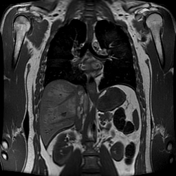 Department of Anatomy and Cellular Biology Cross Sectional Anatomy Home ...